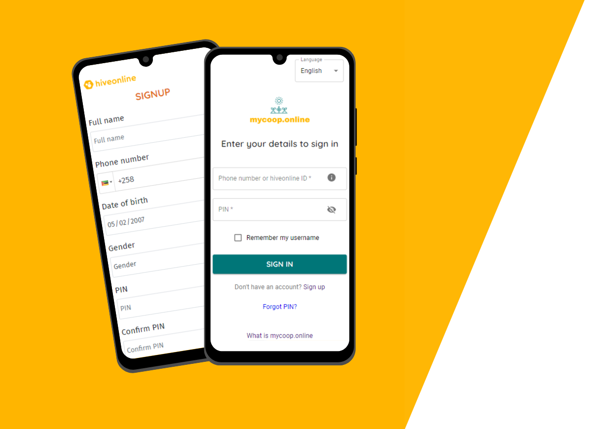 hiveonline – empowering the African informal economy